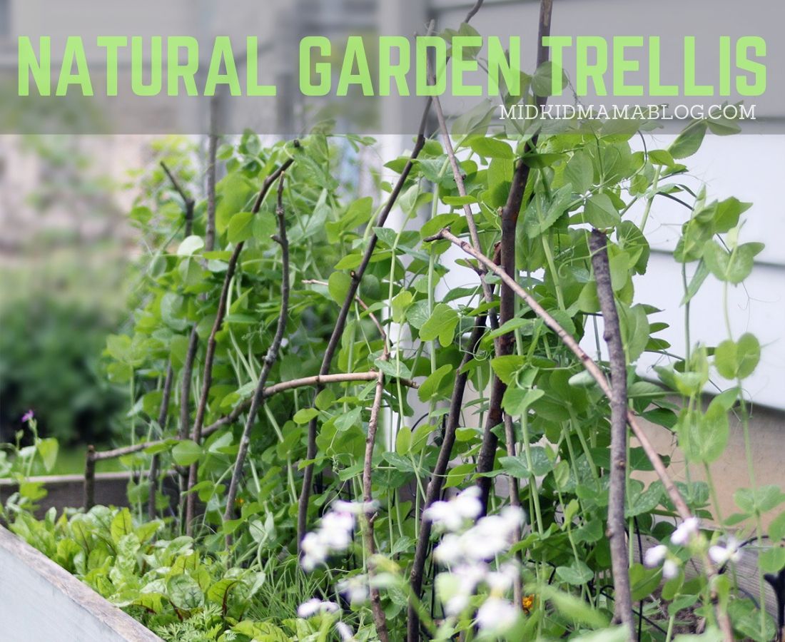 Building a Free and Natural Garden Support Trellis - MidKid Mama