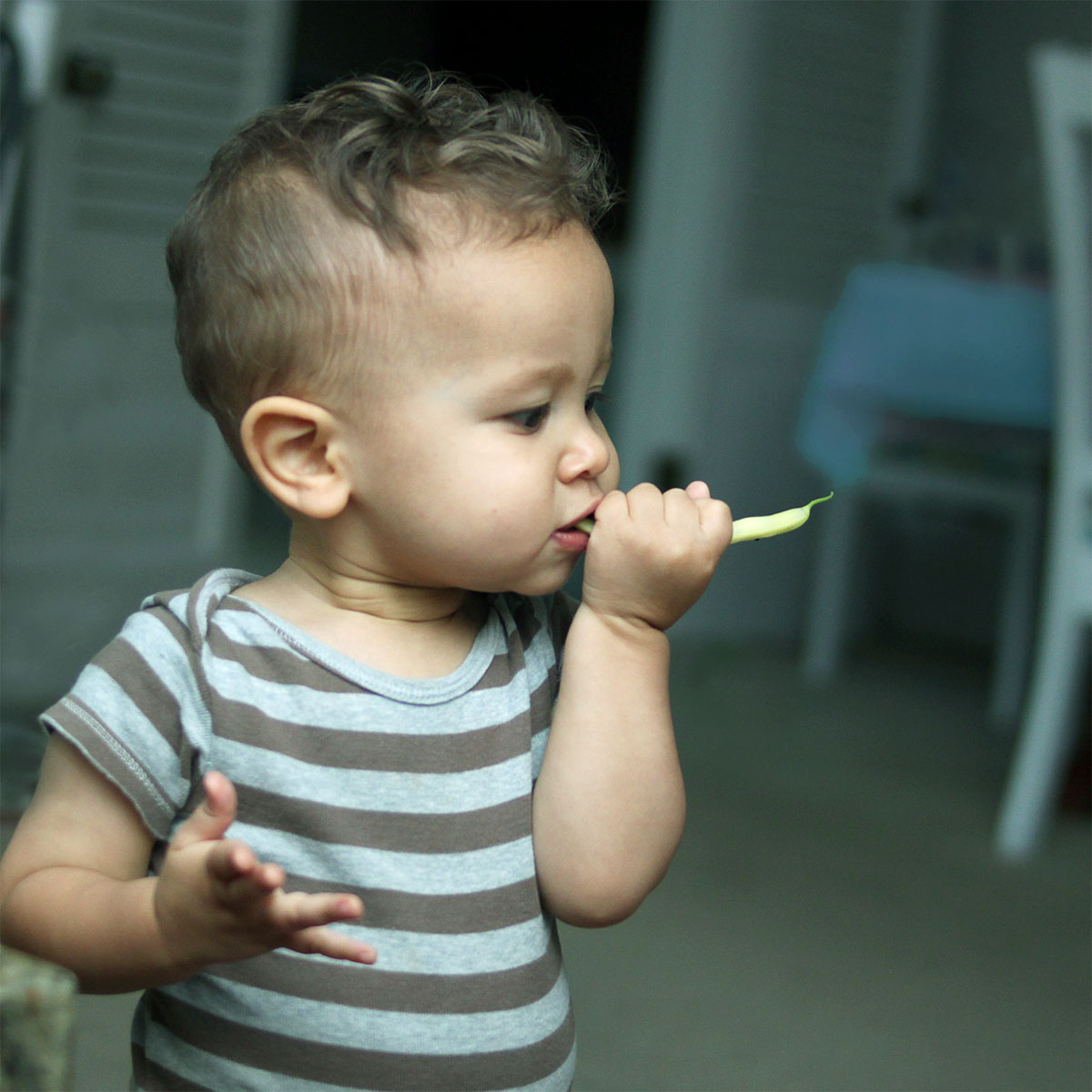 The Secret Art of the Snack - MidKid Mama